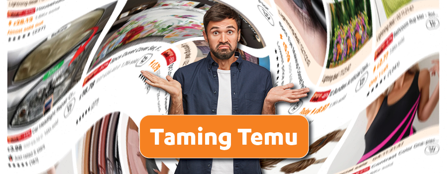 Shopping on Temu: safe or sorry?